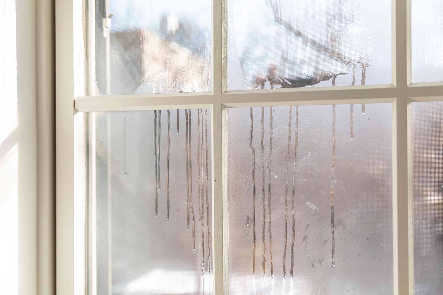 House humidity in winter: What should your home’s humidity be in Michigan?